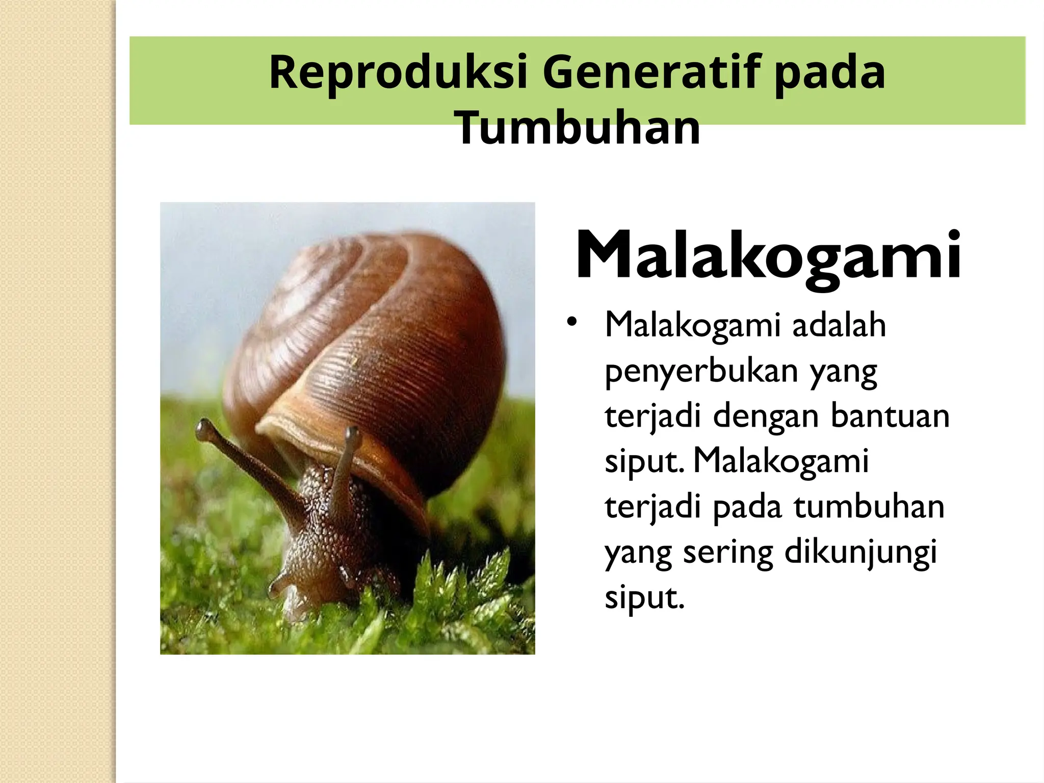discribe about ecosistem biology grade 7.pptx | Free Download