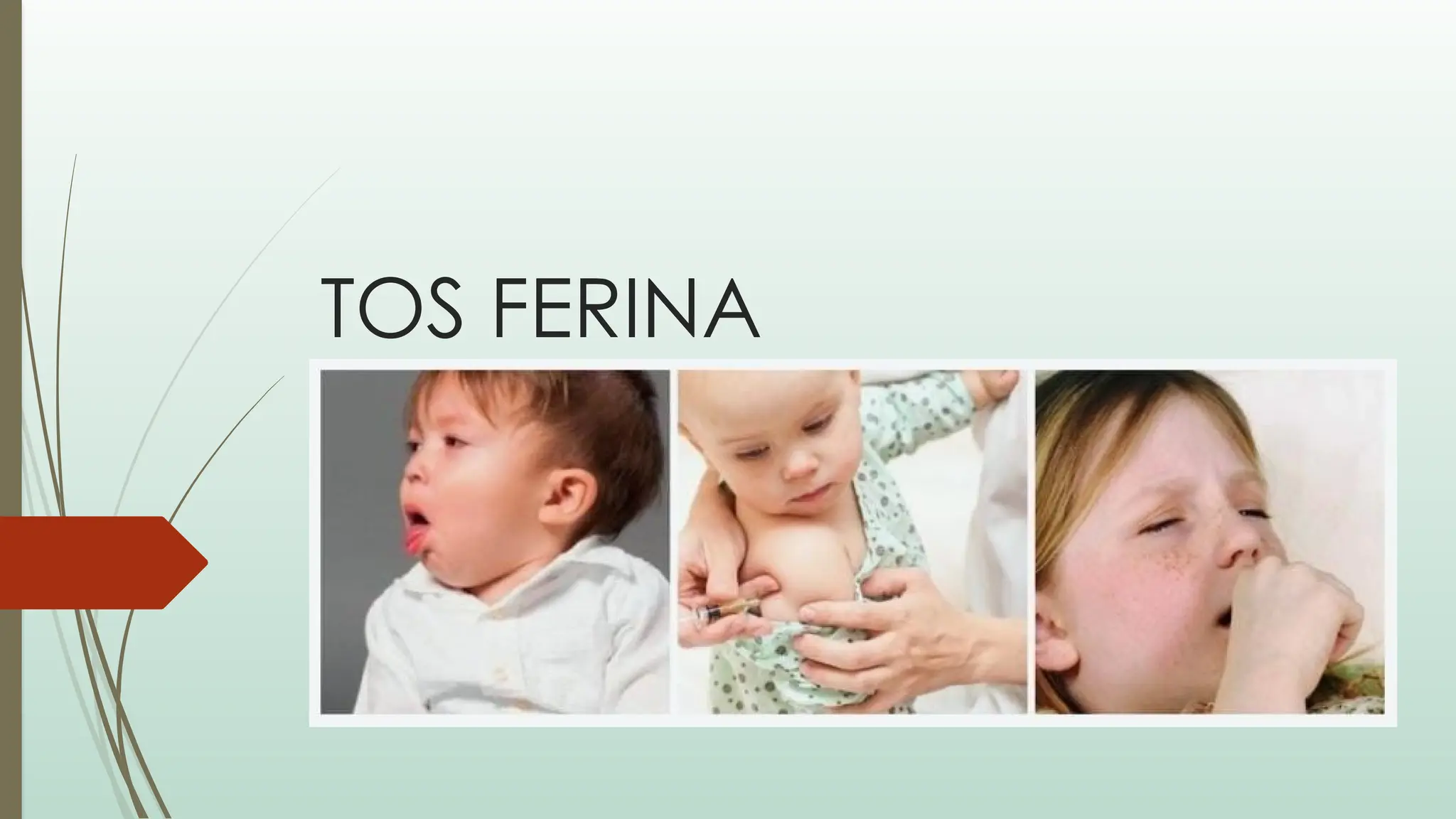 TOS FERINA ACTUALIZACION 2025 INMUNIZACION pptx | PPTX