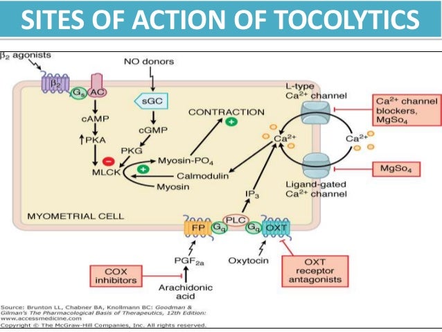 Tosiban cme slides,ATOSIBAN a New Hope in Preterm Labour ,Life car…