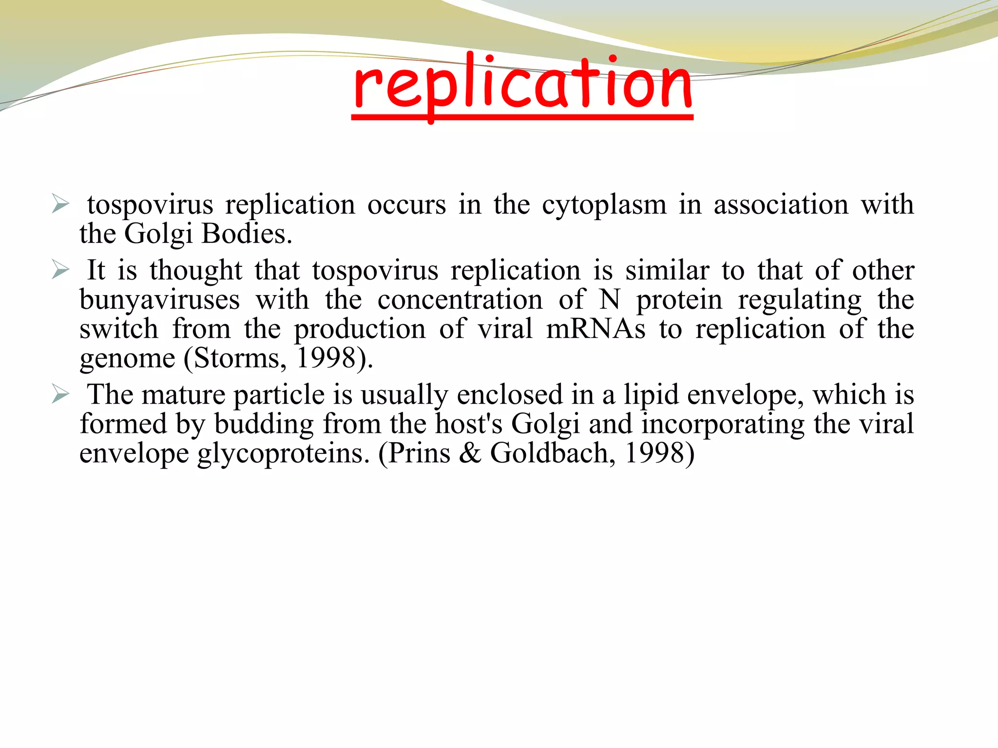 Tospovirus - Genome organization.ppt