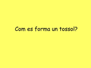 Tossols | PPT