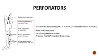 Tehnik operasi Stripping Vena modifikasi | PPTX