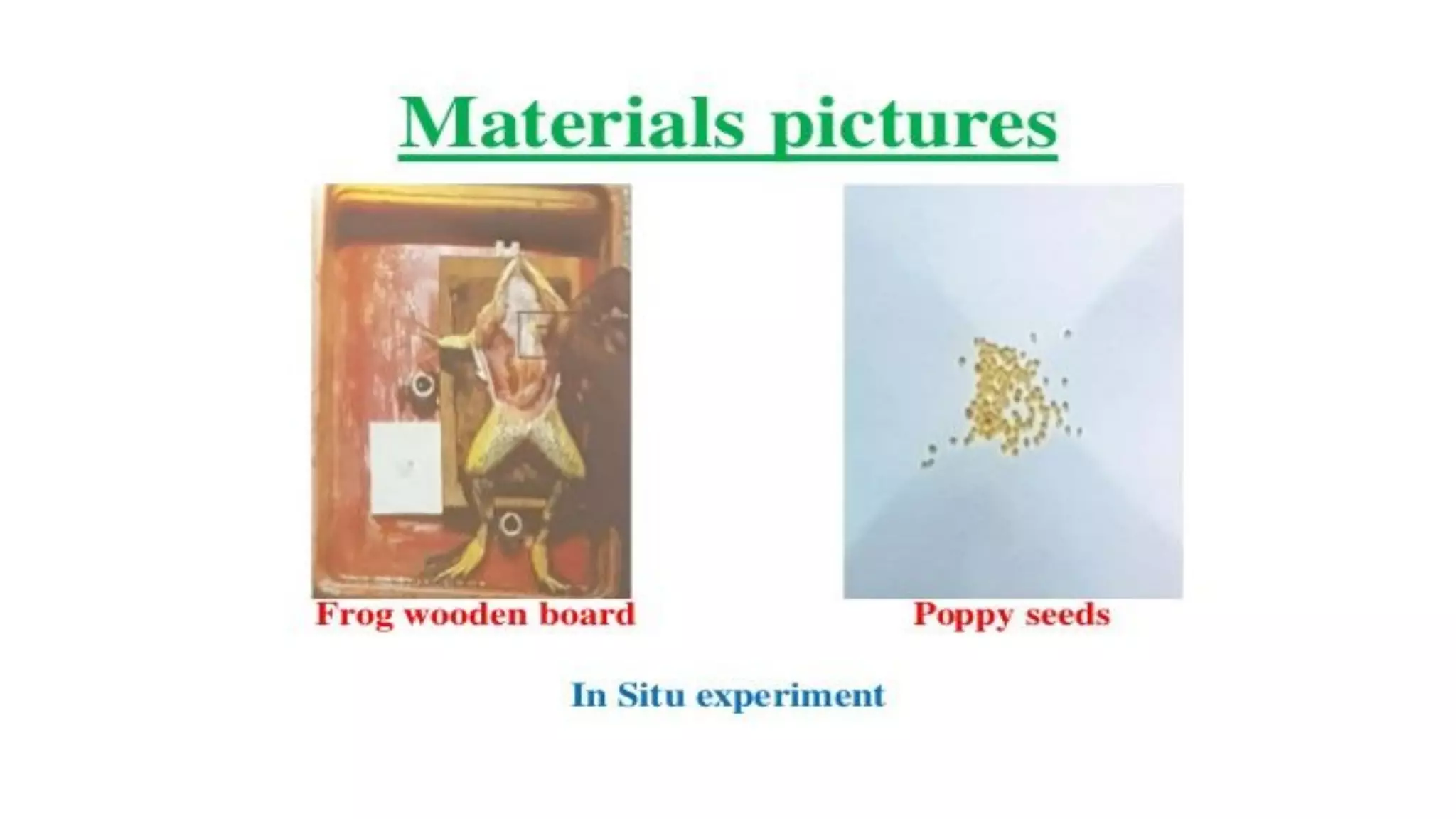 To study effect of drug on ciliary motility of frog oesophagus | PDF