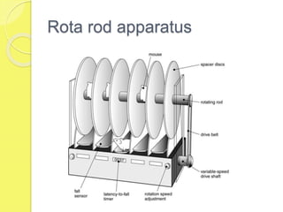 To Study of muscle relaxant property of drug using rotarod in mice. | PPT