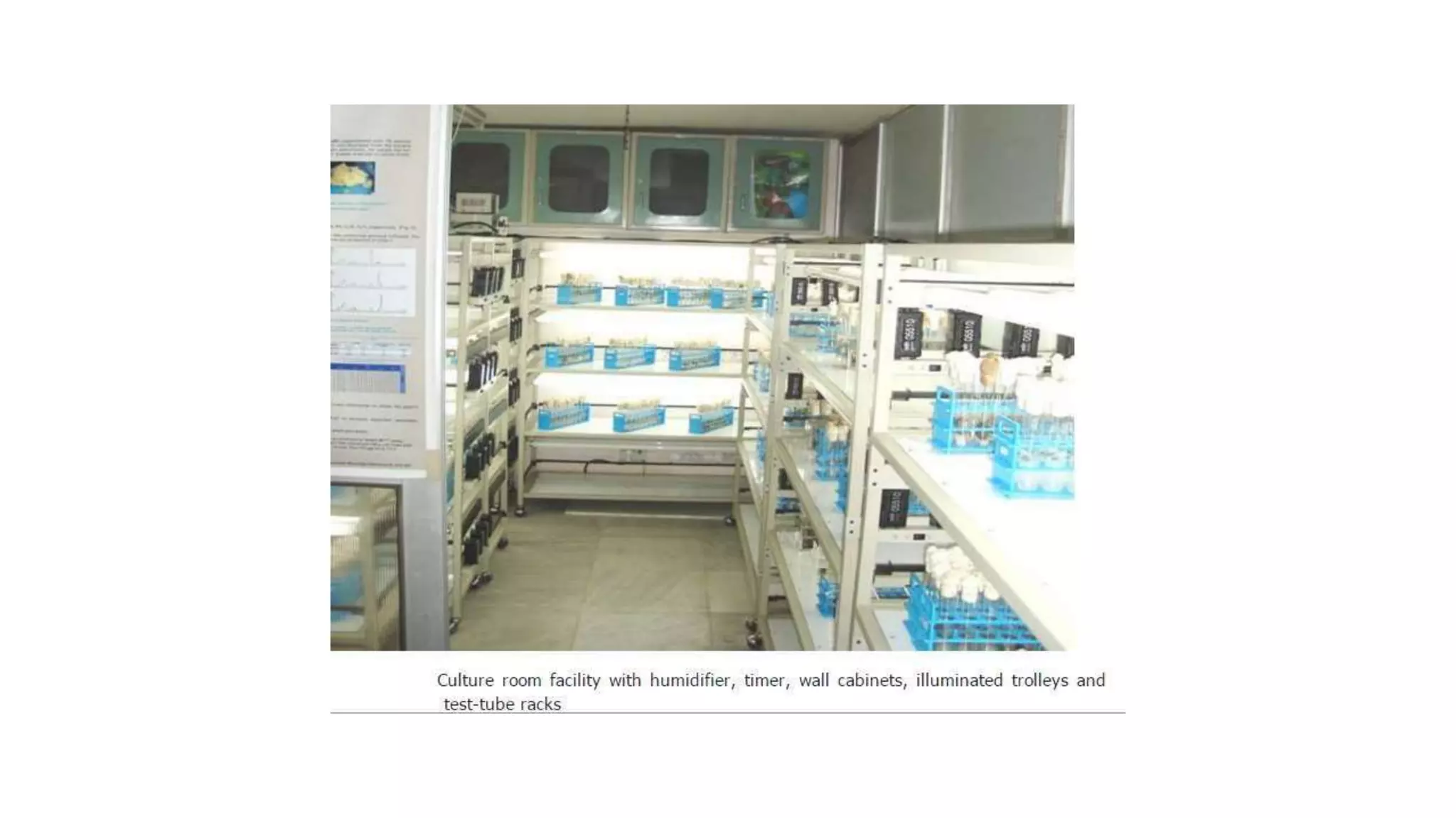 To study plant tissue culture laboratory design and set up | PPTX