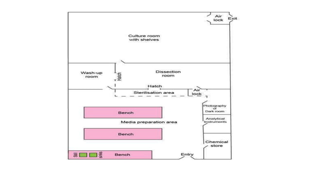 To study plant tissue culture laboratory design and set up | PPTX ...