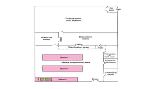 Plant Tissue Culture Laboratory Design Layout