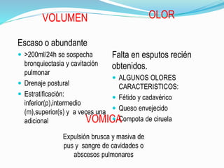 Tos y expectoracion semitología | PPTX