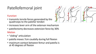 tota knee arthroplasty.pptx
