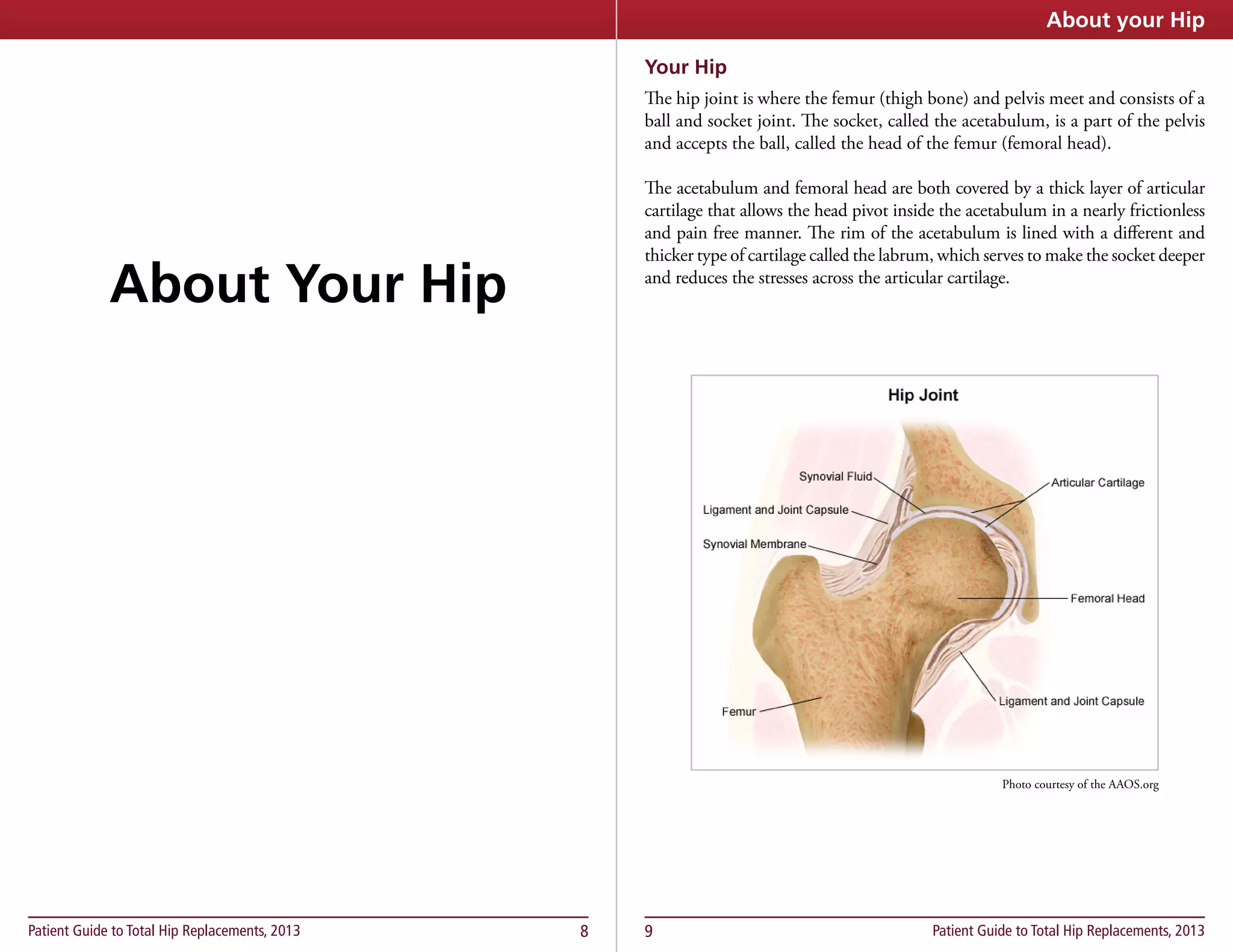 Total hip-replacement-guide | PDF