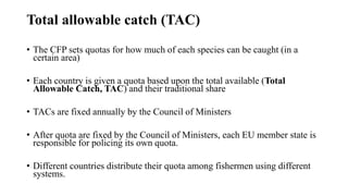 Total allowable catch | PPTX