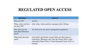 Total allowable catch | PPTX