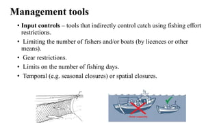 Total allowable catch | PPTX