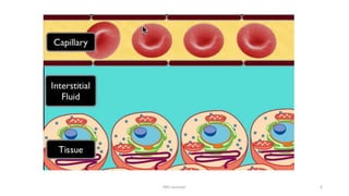 Extracellular fluids | ECF | Intracellular fluids | ICF | Total body ...