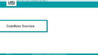 Total control over your protection and licensing process | PDF