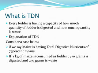 Total digestive nutrients(TDN) | PPTX