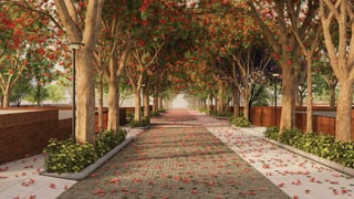 Total Environment Tangled Up In The Green - Residential Plots Where ...