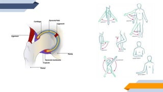 Total Hip Implant | PPTX