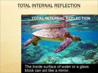 Total Internal Reflection Water