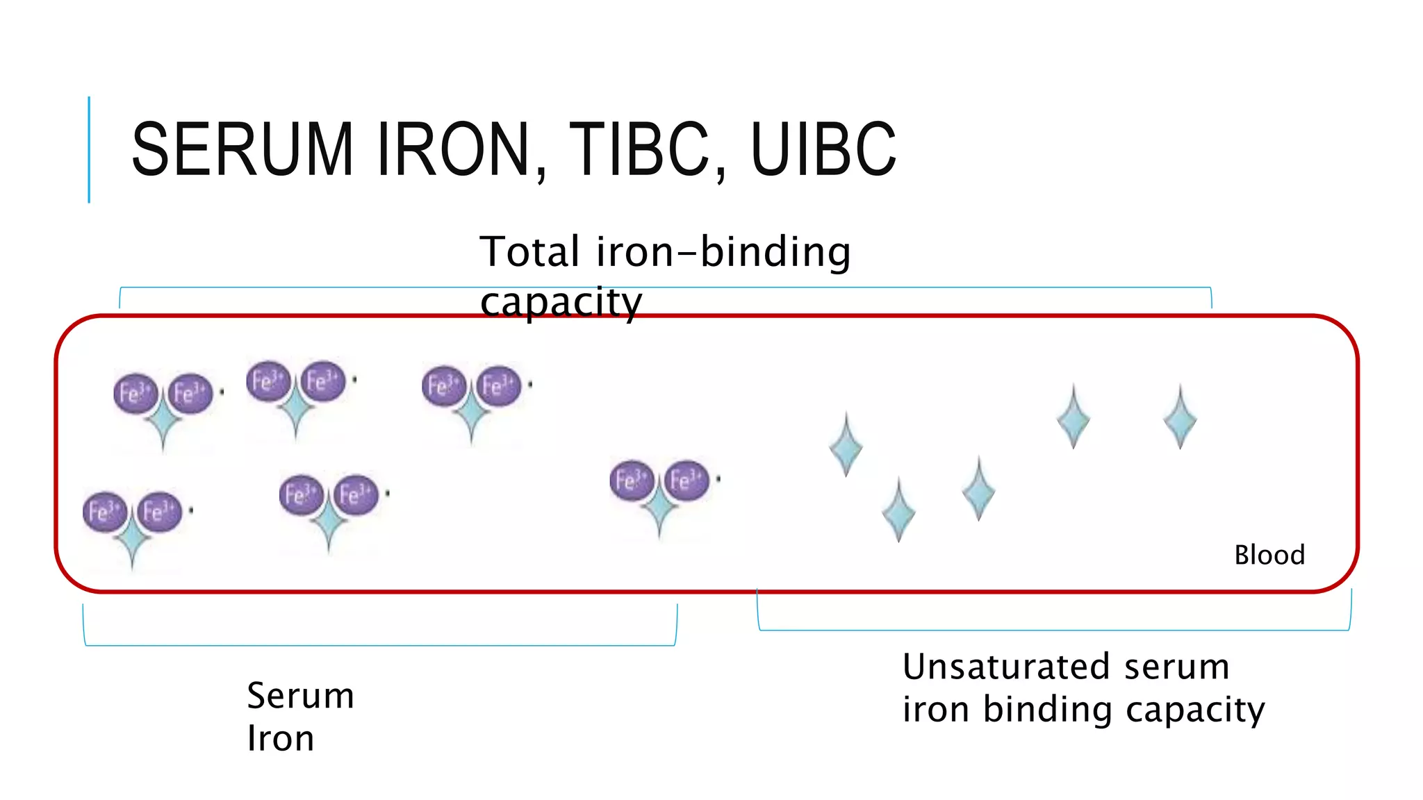 Total iron binding capacity | PPTX