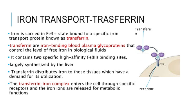 Total iron binding capacity | PPTX
