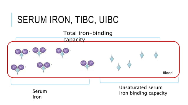 Total iron binding capacity | PPTX