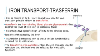 Total Iron Binding Capacity (TIBC), Transferrin And, 54% OFF