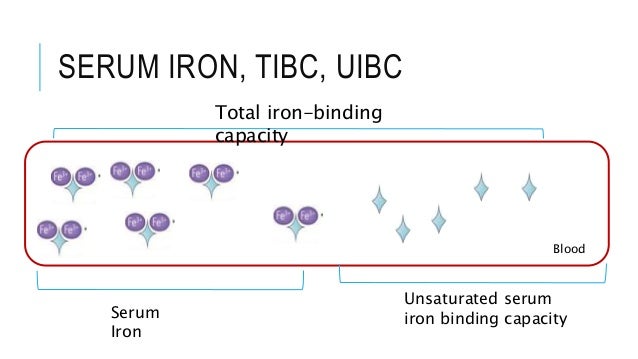 Total iron binding capacity