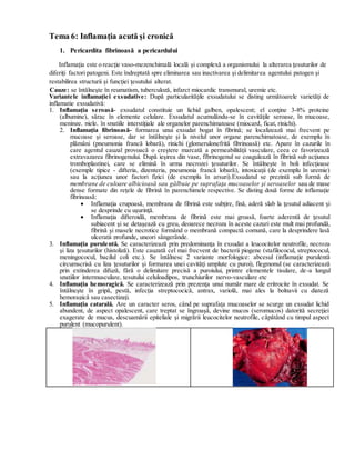 Morfopatologie: Totalizarea nr. 1 (Revizuit) | DOCX