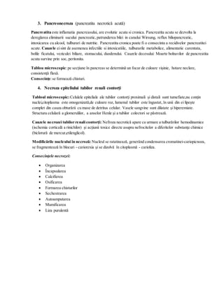 Morfopatologie: Totalizarea nr. 1 (Revizuit) | DOCX