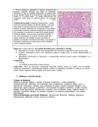 Morfopatologie: Totalizarea nr. 1 (Revizuit) | DOCX