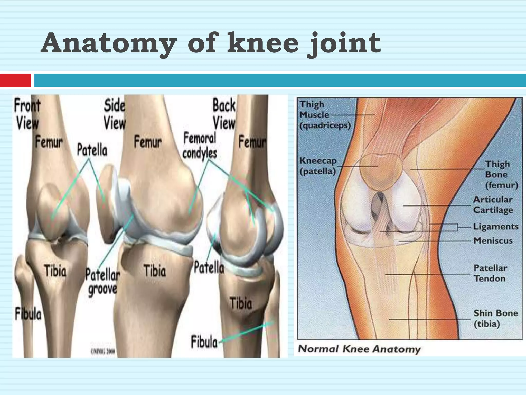 Total knee arthroplasty.pptx