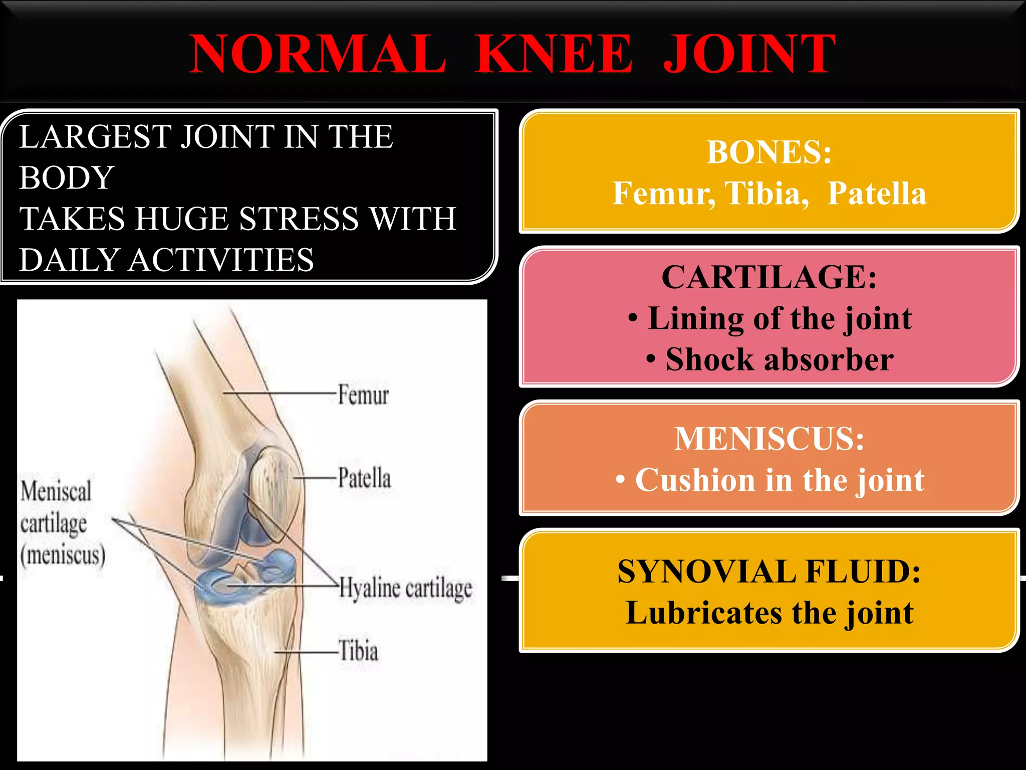 Total knee replacement patient education | PPTX