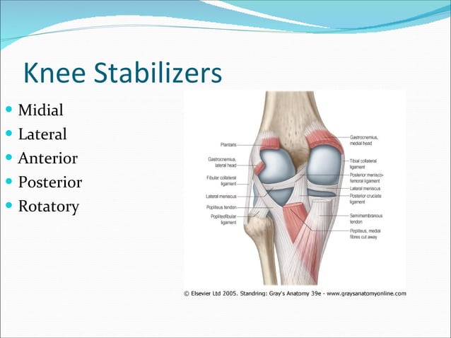 Total knee replacement (tkr) ppt | PPT