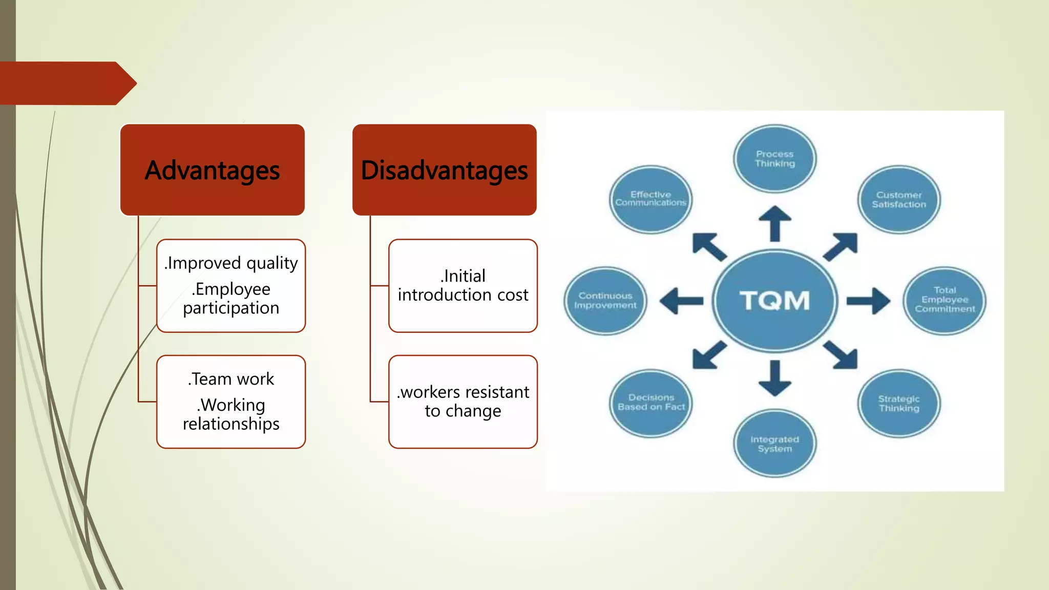 TQM Advantages & disadvantages.pptx