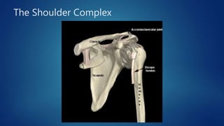 Total Shoulder Arthroplasty | Reverse Shoulder Replacement | South ...