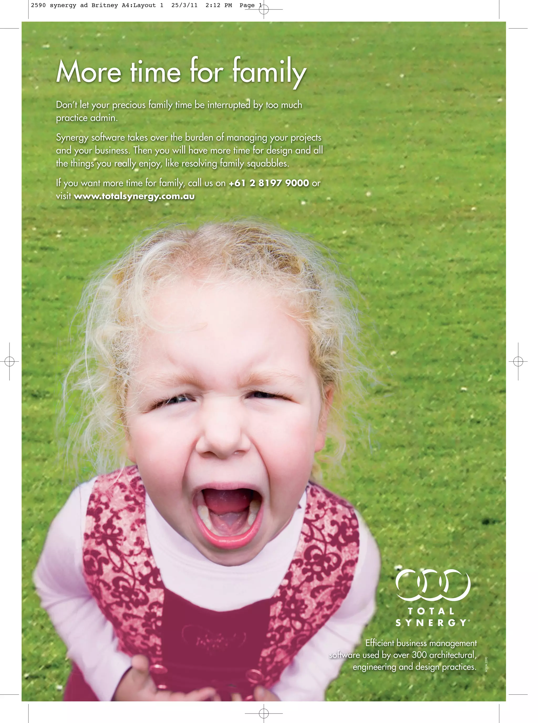 Total Synergy ad campaign 2011 | PDF