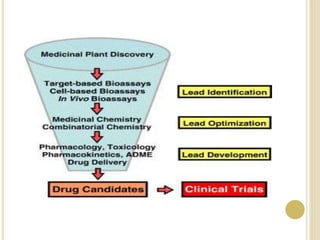 Total synthesis | PPTX