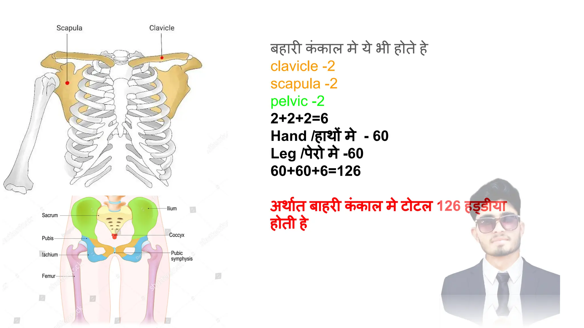 Bones Human body all bones anatomy and physiology | PDF