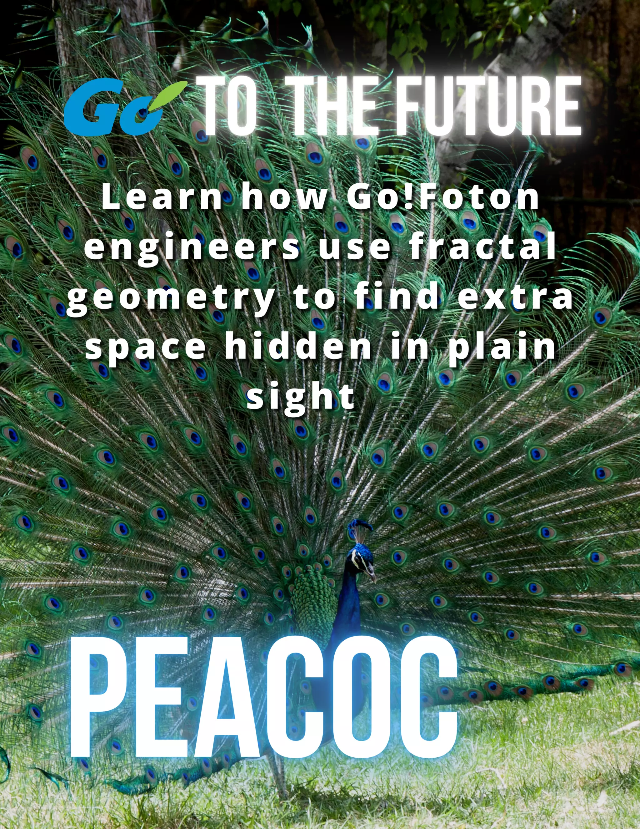 Go! Foton Brochure | PDF