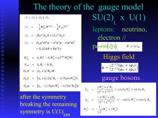 To the standard model - Ion Cotaescu | PPT