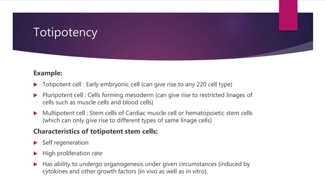 Totipotency - An Overview | PPTX | Biological Sciences | Science