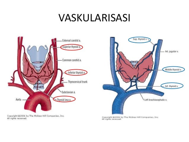 tehnik operasi tiroidektomi