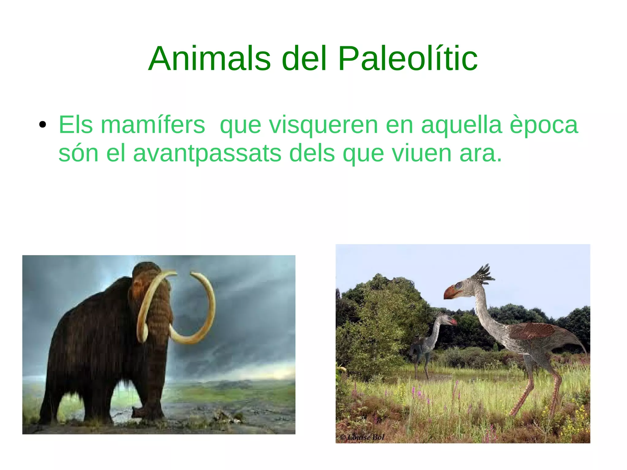 La Prehistòria Moixernó | ODP