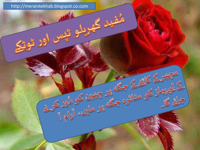 Totkay In Urdu Language | PPTX