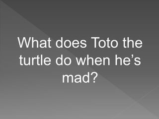 Toto turtle takes time to tuck and think | PPTX