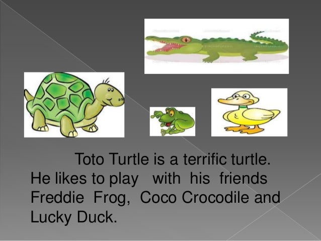 Toto turtle takes time to tuck and think