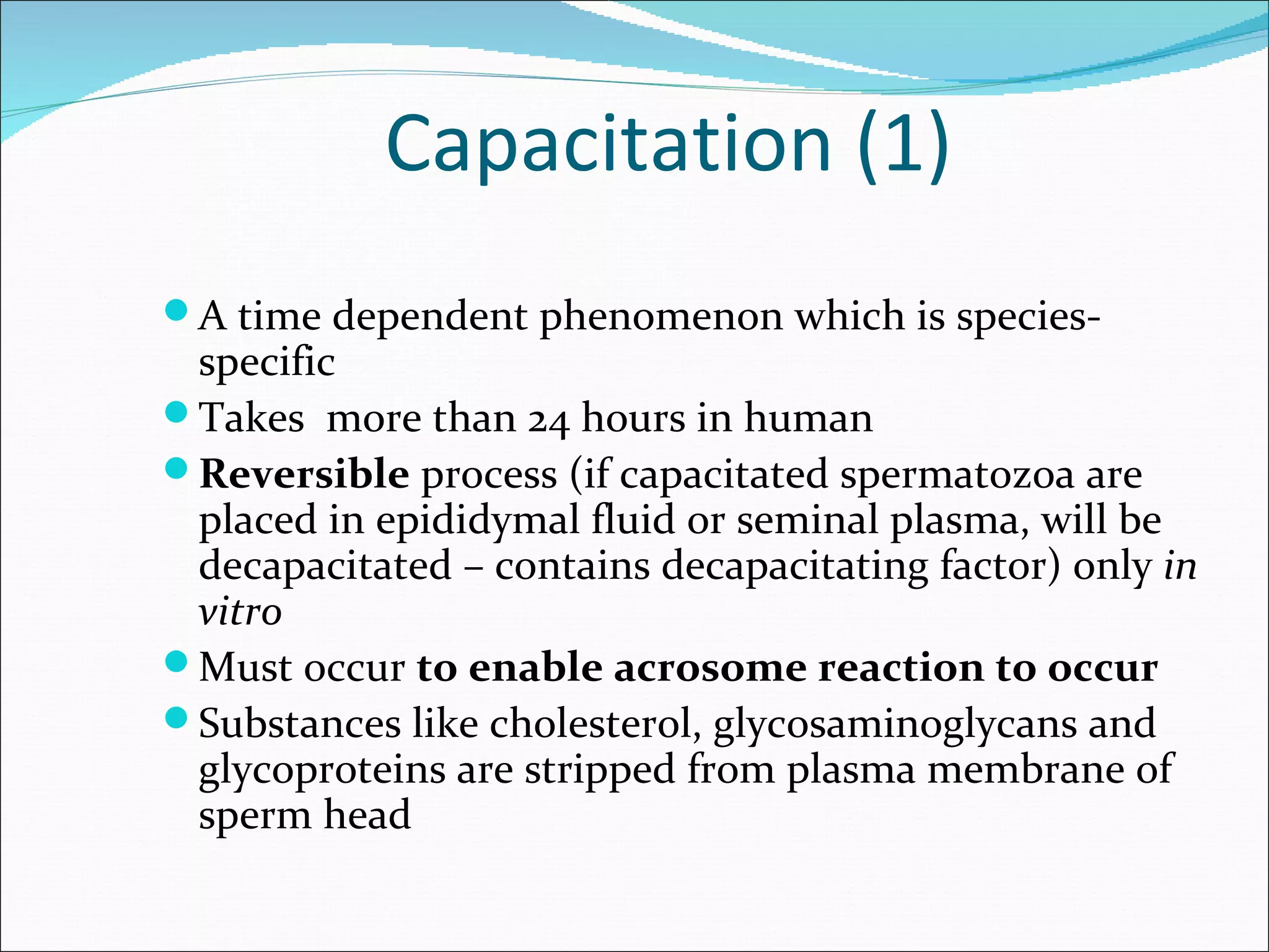 Tot presentation | PPT