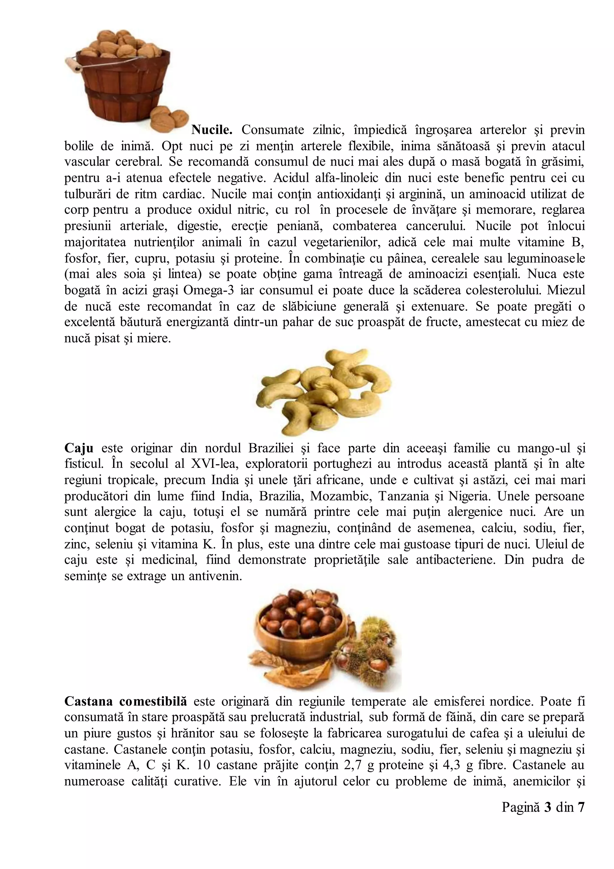 Totul despre nuci si alune | DOCX