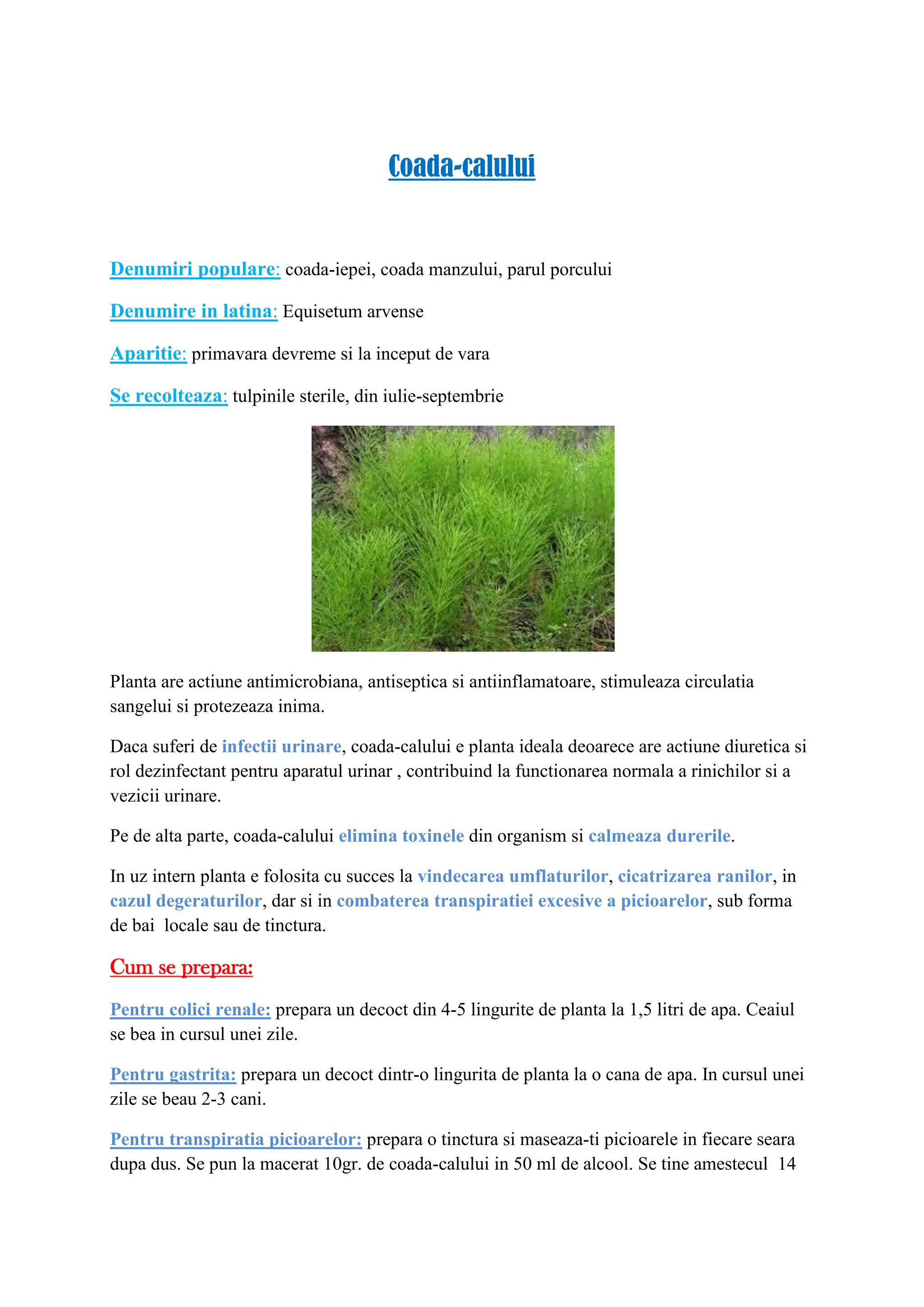 Totul despre planta coada-calului | PDF